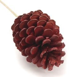 Enchanted Forest® 22" Jumbo Red Gloss Pinecone Pick at Menards®