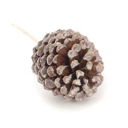 Enchanted Forest® 22" Jumbo Frosted Glitter Pinecone Pick at Menards®