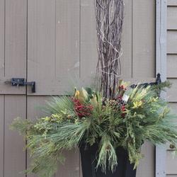 Enchanted Forest® Frosted Glitter Birch Bouquet at Menards®