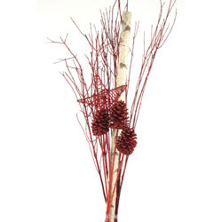 Enchanted Forest® Red Glitter Birch Bouquet at Menards®