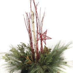 Enchanted Forest® Red Glitter Birch Bouquet at Menards®