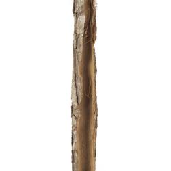 Enchanted Forest® 3-4' Wood Bark Roll Pick at Menards®