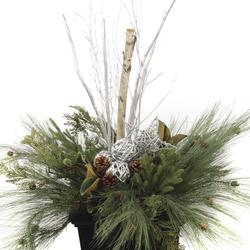 Enchanted Forest® 3-4' Silver Branches at Menards®
