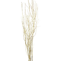 Enchanted Forest® 3-4' Gold Branches at Menards®