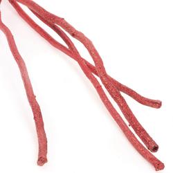 Enchanted Forest® 3' Red Glitter Decorative Sticks at Menards®