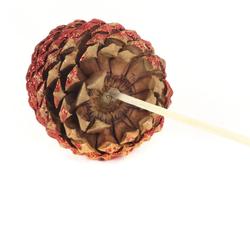 Enchanted Forest® 22" Jumbo Red Glitter Pinecone Pick at Menards®