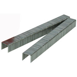 SENCO® 1/2" Crown x 1/2" Leg Electro-Galvanized Medium Crown Staples ...