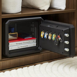 Sentry Safe 0.8 cu. ft. Fire Combination Safe at Menards®
