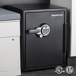 Sentry® Safe 2.05 cu. ft. Large Biometric Fire Water Safe at Menards®