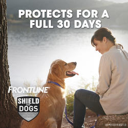 Frontline® Shield Flea & Tick Protection for Dogs 5-10 lbs at Menards®