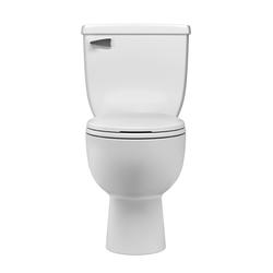 Saniflo™ 2-Piece White Tall Elongated Toilet at Menards®