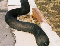 Silt Sock 8" Diameter x 20' at Menards®