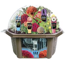 Zombie Apocalypse House of Horror Dome Grow Kit at Menards®