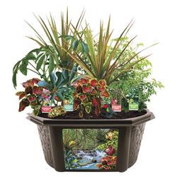 Tropical Rainforest Jungle Dome Grow Kit at Menards®