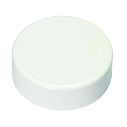 Sioux Chief HardHat™ PVC Test Cap DWV at Menards®