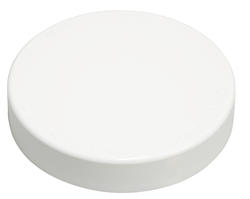 Sioux Chief® HardHat™ 4" PVC Test Cap DWV at Menards®