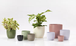 8.3" Basel Grenadine Tapered Clay Planter at Menards®