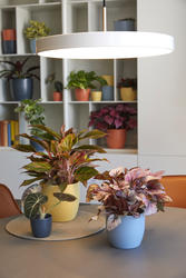 3.9" Basel Night Blue Clay Planter at Menards®