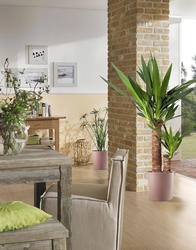 7.5" Tahiti Grenadine Tapered Clay Planter at Menards®