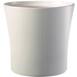 7.5" Tahiti Cream Rose Tapered Clay Planter at Menards®