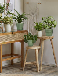 6.3" Canberra Moss Green Ridged Clay Planter at Menards®