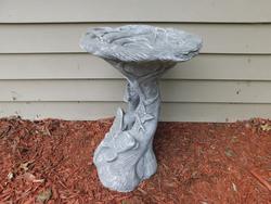 Smith Garden Center Cement Birdbath - Assorted Styles at Menards®