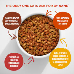 Meow Mix® Tender Centers® Salmon & White Meat Chicken Dry Cat Food - 14 ...