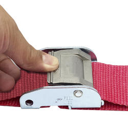 Snap-Loc®2" X 8' Cinch Strap Tie-down With Cam 3000 at Menards®