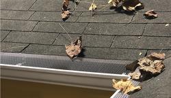 Spectra 6" x 20' Gutter Screen at Menards®