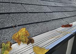 Spectra 3' Armour Block Stainless Steel Gutter Cover at Menards®