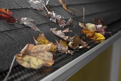 Spectra Metals Armour Shield Gutter Cover (5 pieces per box) at Menards®