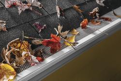 Spectra 3' Armour Screen Gutter Cover at Menards®