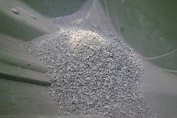 St. Gabriel Milky Spore Granular Grub Control at Menards®