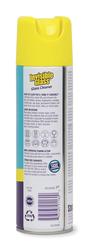 Invisible Glass® Glass Cleaner - 19 oz. at Menards®