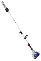 Wild Badger Power® 26cc 2-Cycle Gas 10" Pole Saw at Menards®