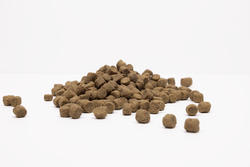 Master Paws® Naturals Beef Dog Food - 35 lb. at Menards®