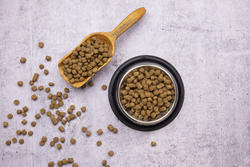 Master Paws® Naturals Beef Dog Food - 35 lb. at Menards®