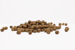 Master Paws® Naturals Chicken Dog Food - 35 lb. at Menards®