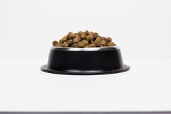 Master Paws® Naturals Chicken Dog Food - 35 lb. at Menards®