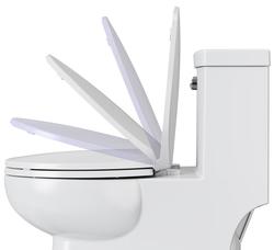Tuscany® Wissota 1-Piece White Tall Elongated Toilet at Menards®