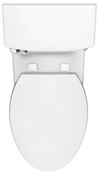 Tuscany® Wissota 1-Piece White Tall Elongated Toilet at Menards®