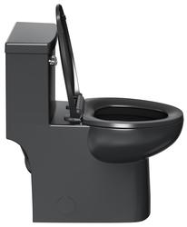 Tuscany® Wissota 1-Piece Black Tall Elongated Toilet at Menards®