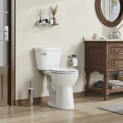 Tuscany® Superior 2-Piece White Extra Tall Elongated Toilet at Menards®