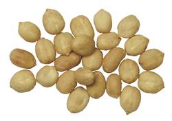 Old Mill™ Roasted & Salted Peanuts - 16 oz at Menards®