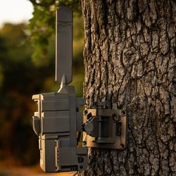 Tactacam® Reveal Trail Camera Tree Mount at Menards®