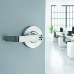 Tell™ Cortland Heavy Duty Commercial Entry Lever - Satin Chrome at Menards®