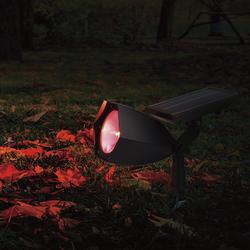 Patriot Lighting® Solar Color Changing Landscape Spot Light at Menards®