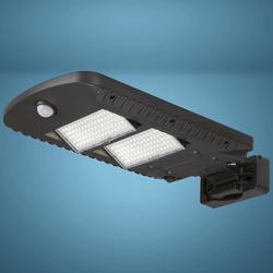 Patriot Lighting® Solar-Powered LED Motion Sensor Security Area Light ...