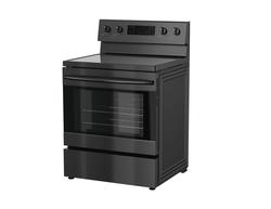 Criterion® 30" 5.0 cu. ft. Black Electric Range (Smooth Top) at Menards®