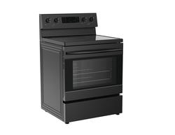 Criterion® 30" 5.0 cu. ft. Black Electric Range (Smooth Top) at Menards®
